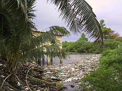 The Disappearing of Tuvalu—Trouble In Paradise | Environment & Society ...