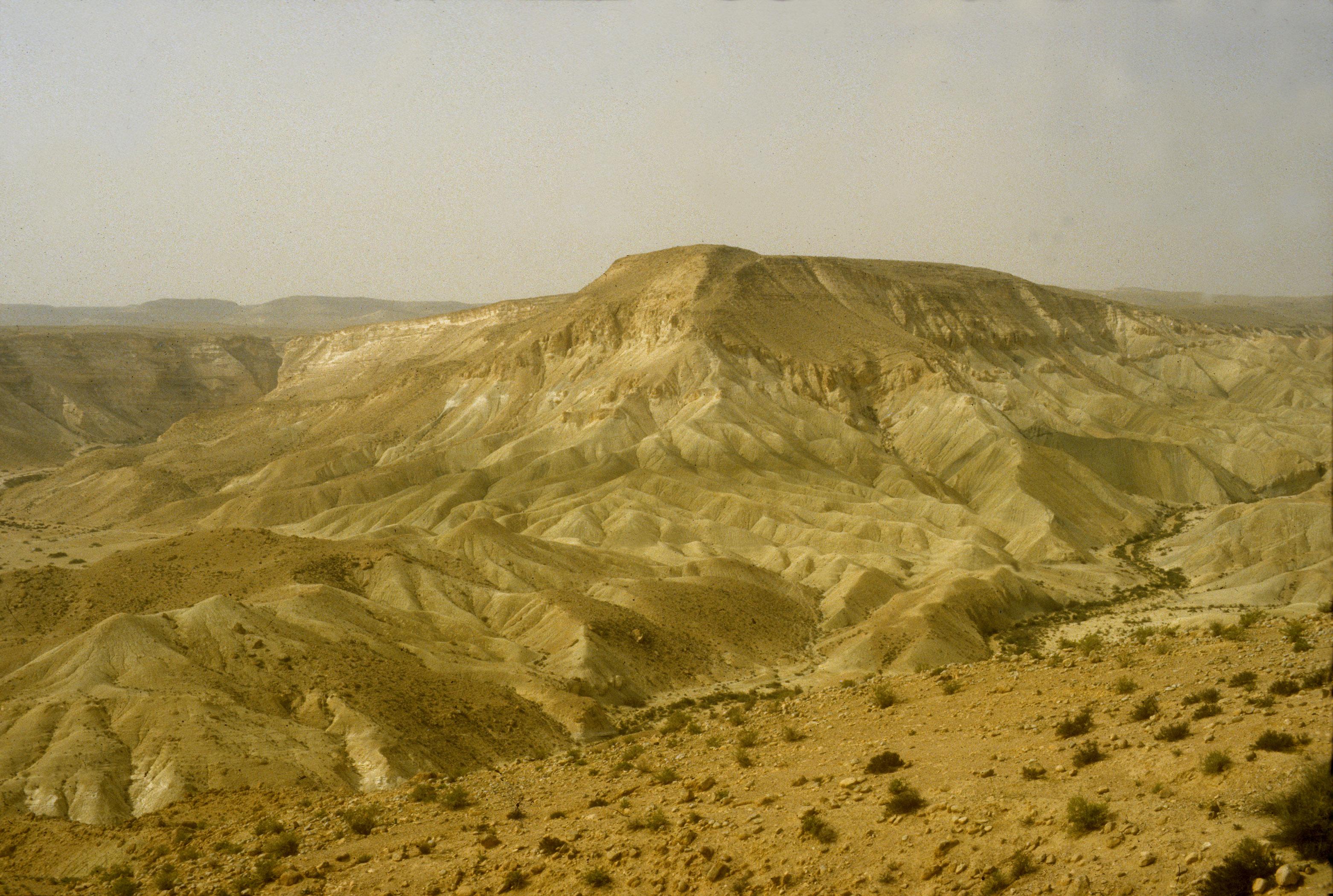 Julius Padilla Headline Desert Definition In The Bible