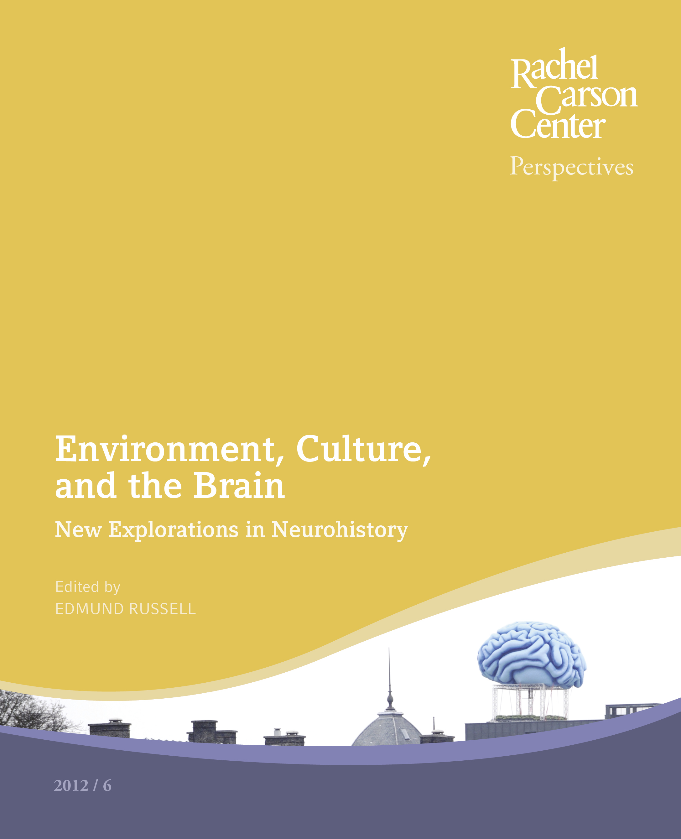 How Can Neurohistory Help Us Understand the Past? | Environment ...