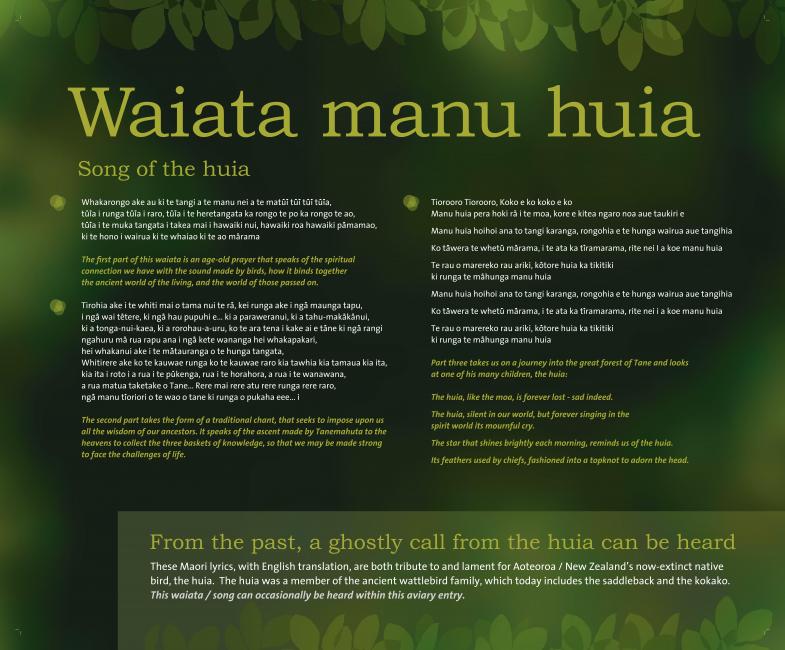 Sight and Sound: Beyond the Huia Extinction Story | Environment ...