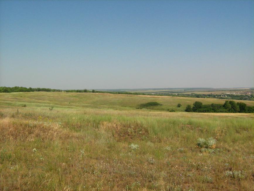 Ukraine and Camels: Features of the Incorporation into the Steppe ...