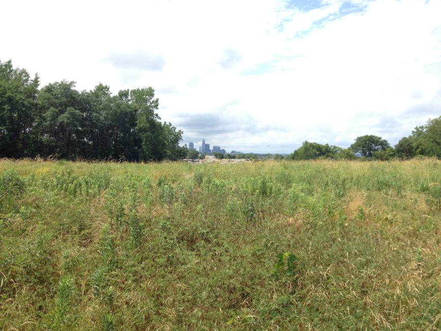 Dike 14, Cleveland, Ohio: Containing Pollution in the Age of Ecology ...