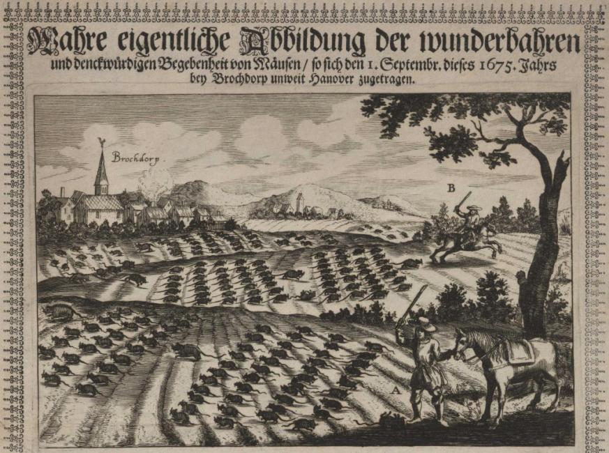 Broadsheet: “Depiction of a Memorable Incident with Mice,” 1675 ... Broadsheet: “Depiction of a Memorable Incident with Mice,” 1675 ...