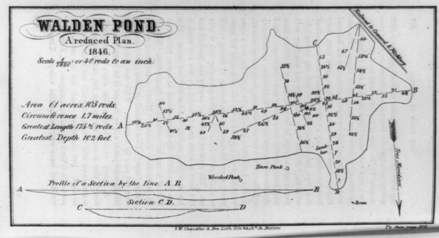Multispecies Walden Woods: Reevaluating Thoreau’s Religion ...