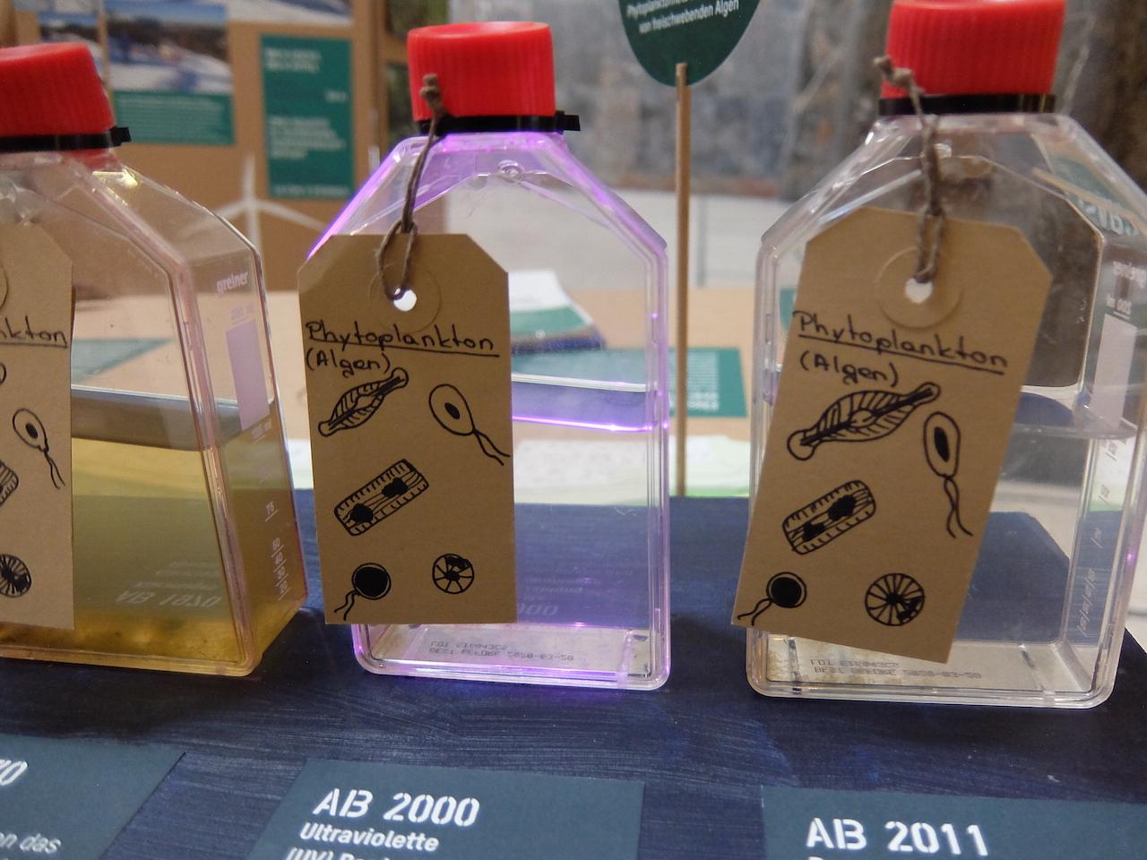 Munich and the Isar | Environment & Society Portal