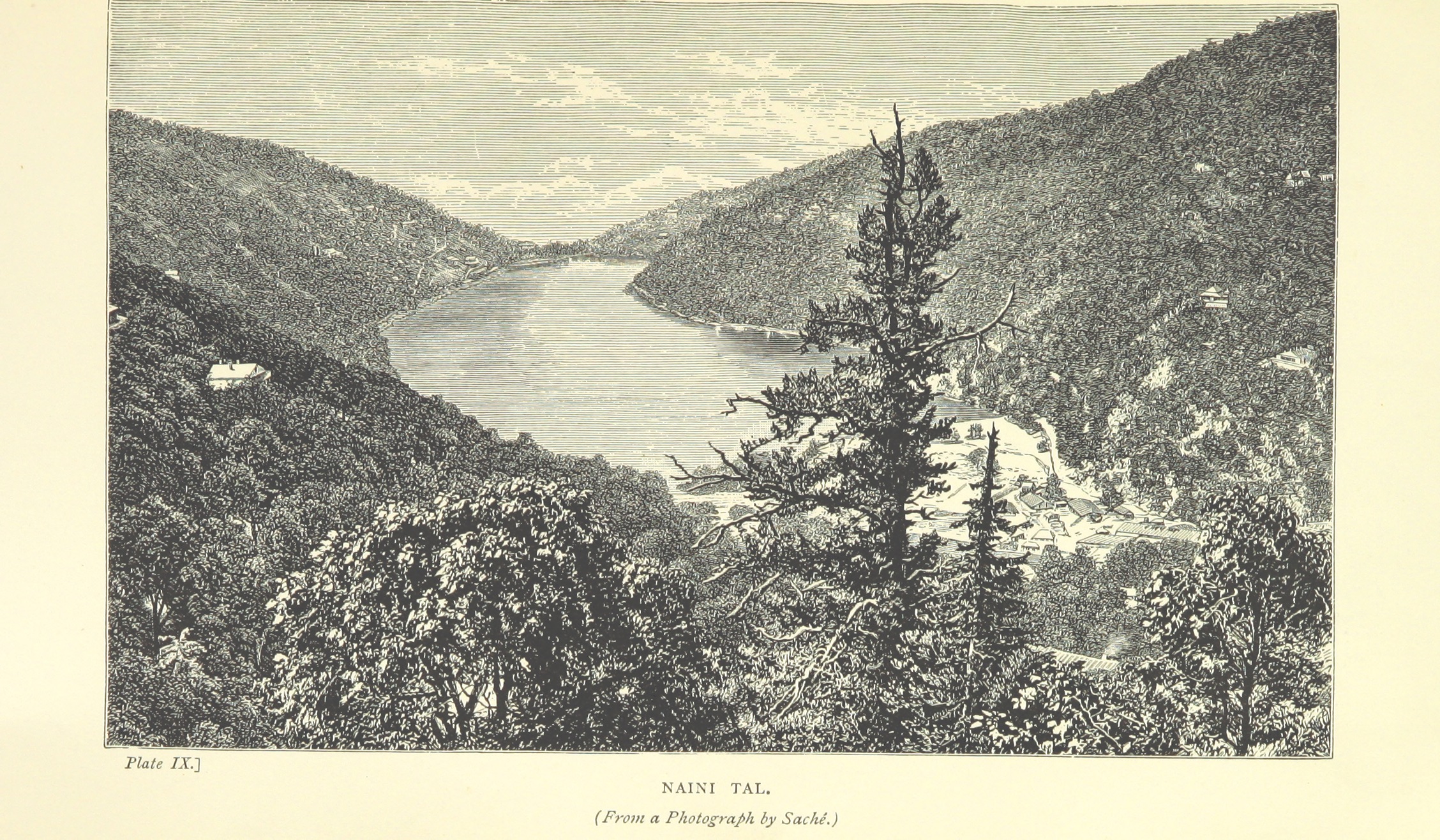 Forests | Environment & Society Portal