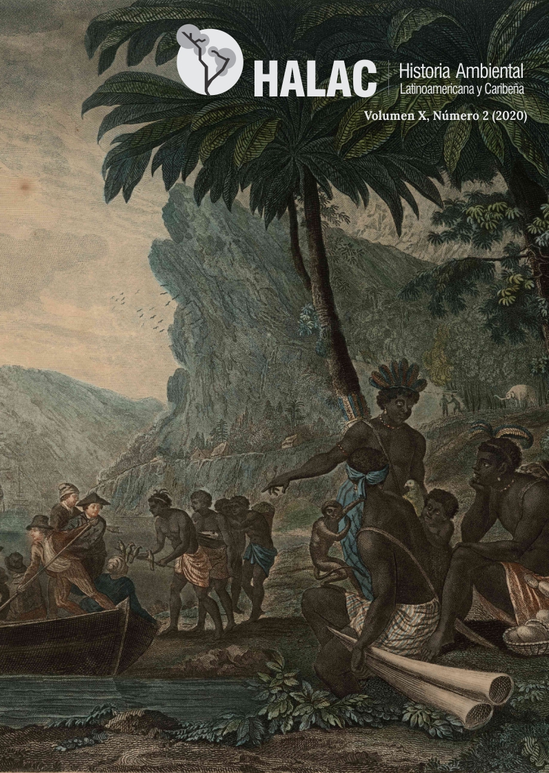 “Timber Exploitation in Colonial Brazil: A Historical Perspective of ...