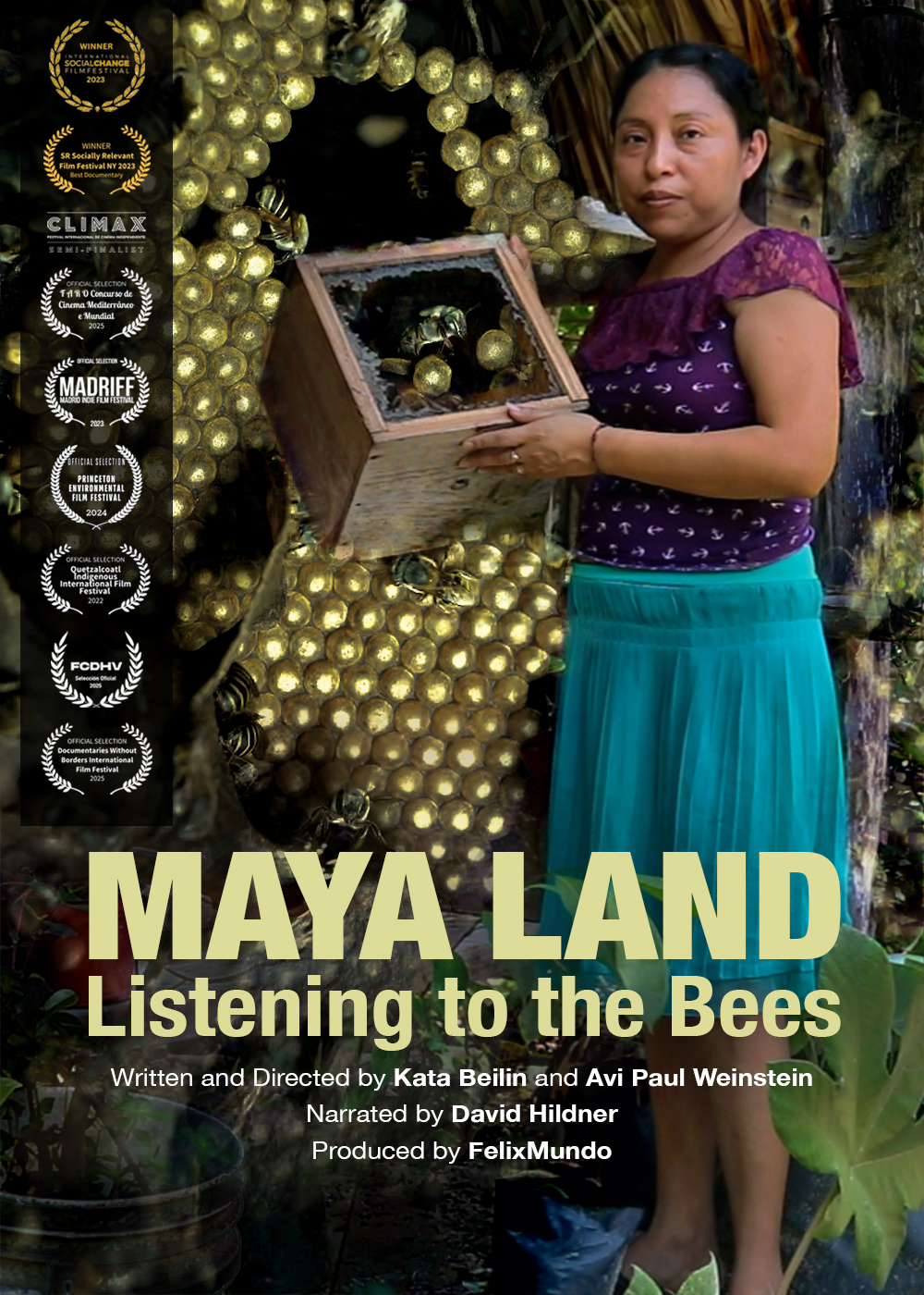 Maya Land: Listening to the Bees | Environment & Society Portal