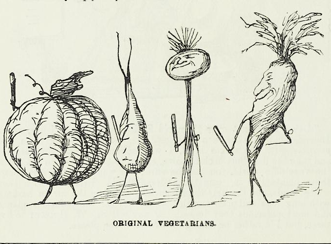 “You Are What You Eat”: Stupid Vegetables and the Charm of the New ...